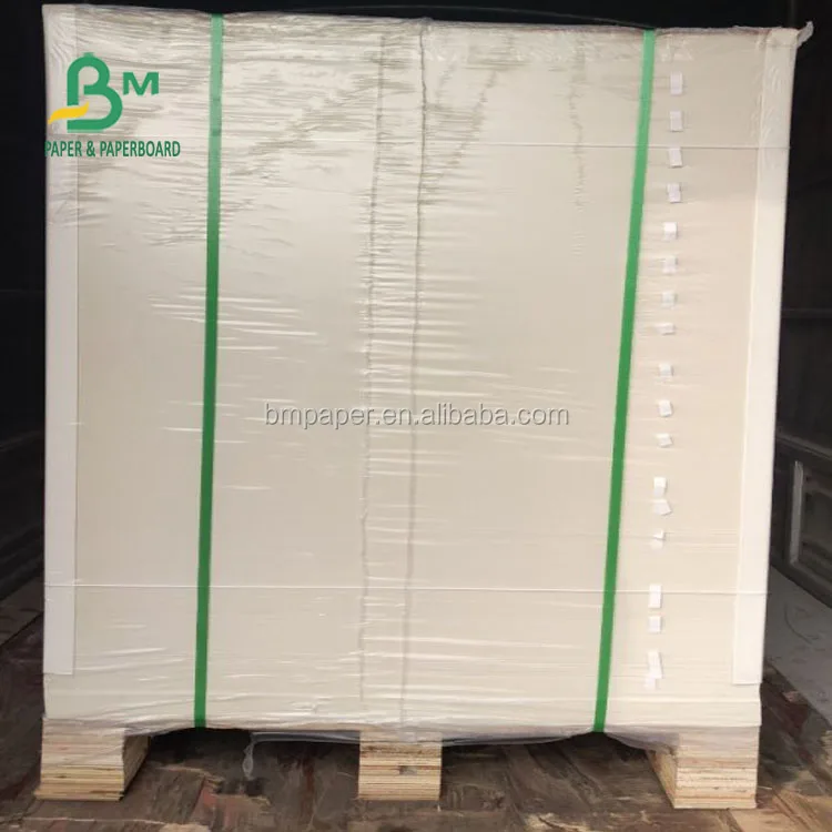 Ivory SBS Board Sheets - Premium Cardstock for Printing