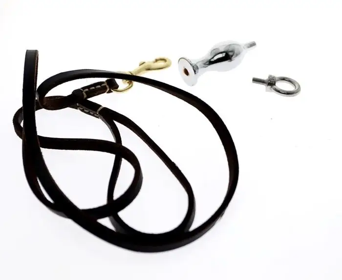 Ass On Leash Walk Your Sub Stainless Steel Anal Plug With Lock 0679