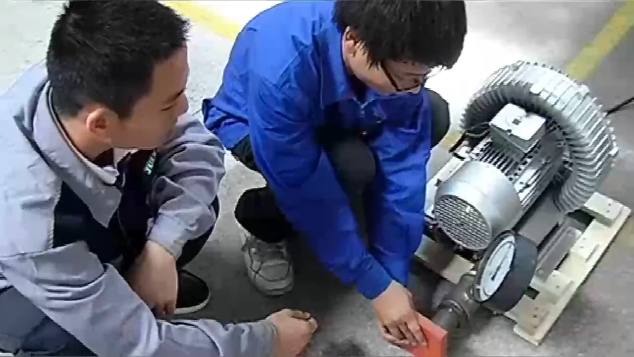 Factory Supply High Pressure Vacuum Aeration High Flow Air Sucking Pump ...