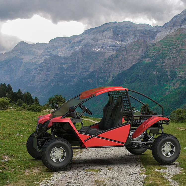 European Street Legal Quadricycle 4x4 Buggy - Buy Automatic 4x4 Buggy ...