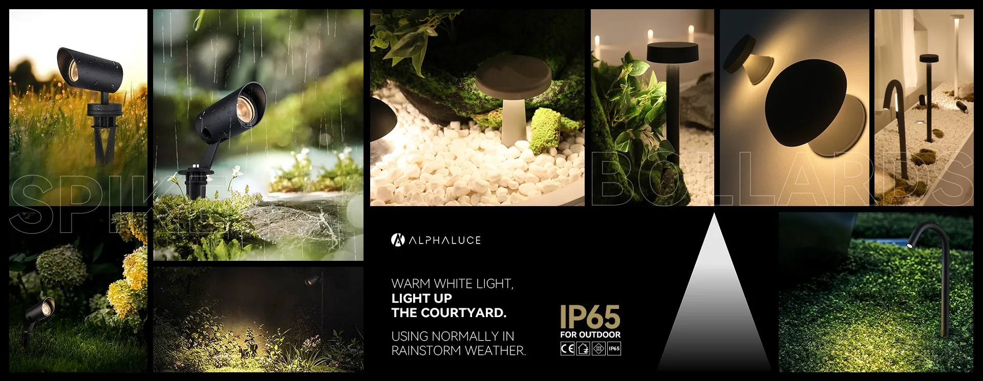 Company Overview - Guangdong Alpha Lighting Co., Ltd.