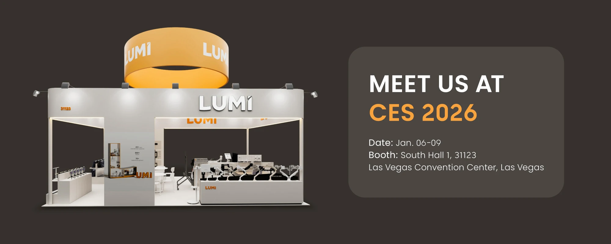 Company Overview - Lumi Legend Corporation
