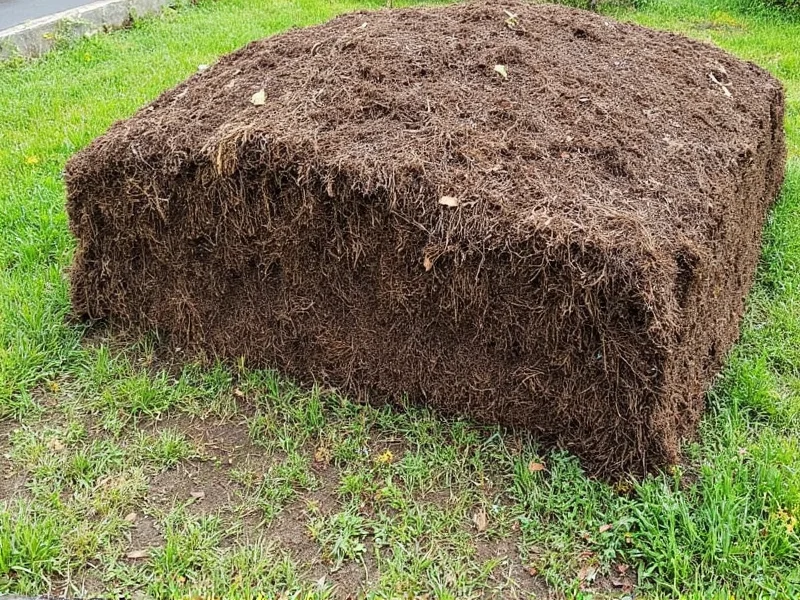 Build a DIY Compost Heap: Simple Guide for Beginners