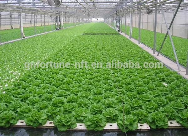 Xps Floating Rafts Foam Board Hydroponic Aquaponic Growing System Dwc ...