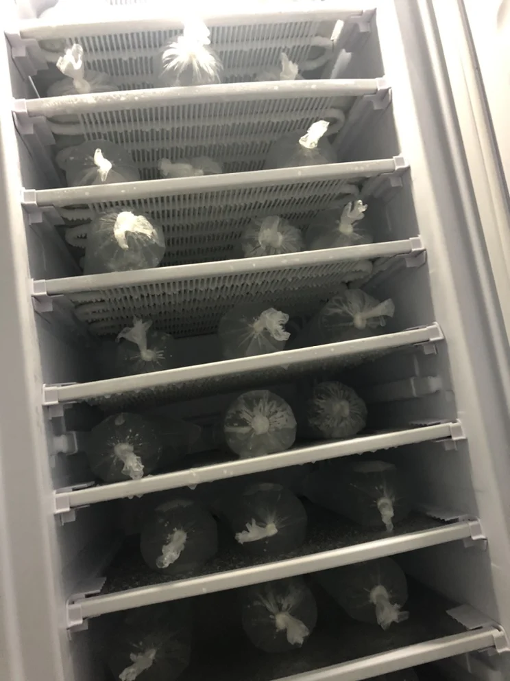 198L DC 24V Ice Block Upright Freezer - Efficient & Reliable