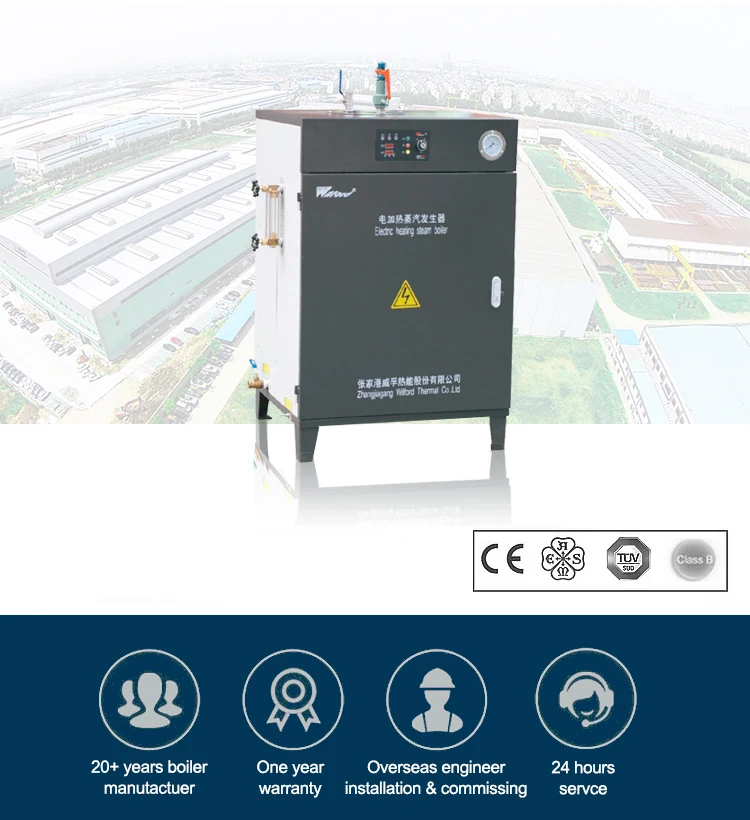 Small Scale Laboratory Steam Boiler for Food Industries