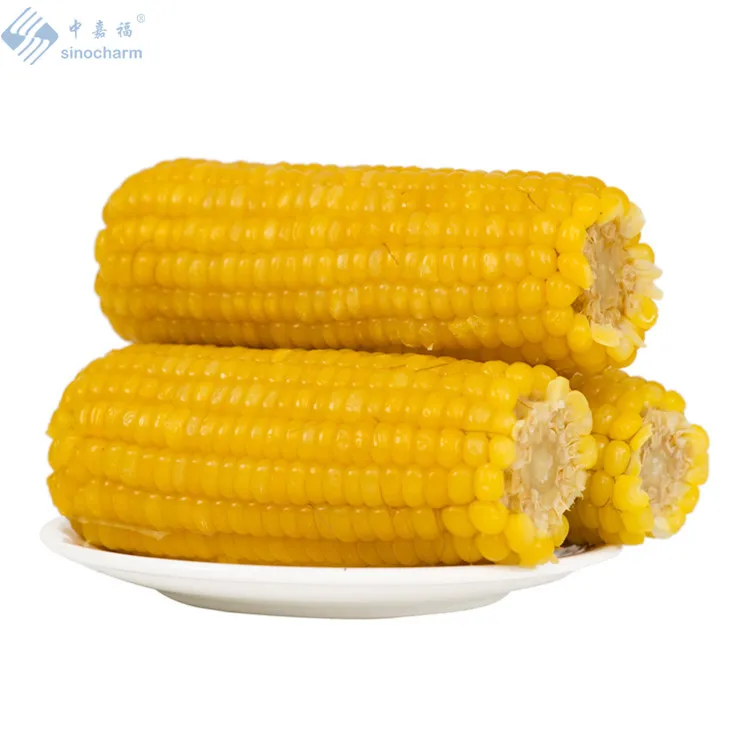 Iqf Frozen Sweet Corn Whole Yellow Corn On The Cob - Buy Iqf Frozen ...
