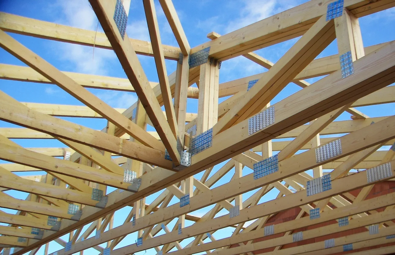 Timber Roofing Gang Nail Plate/ Structural Connectors with Prongs ...