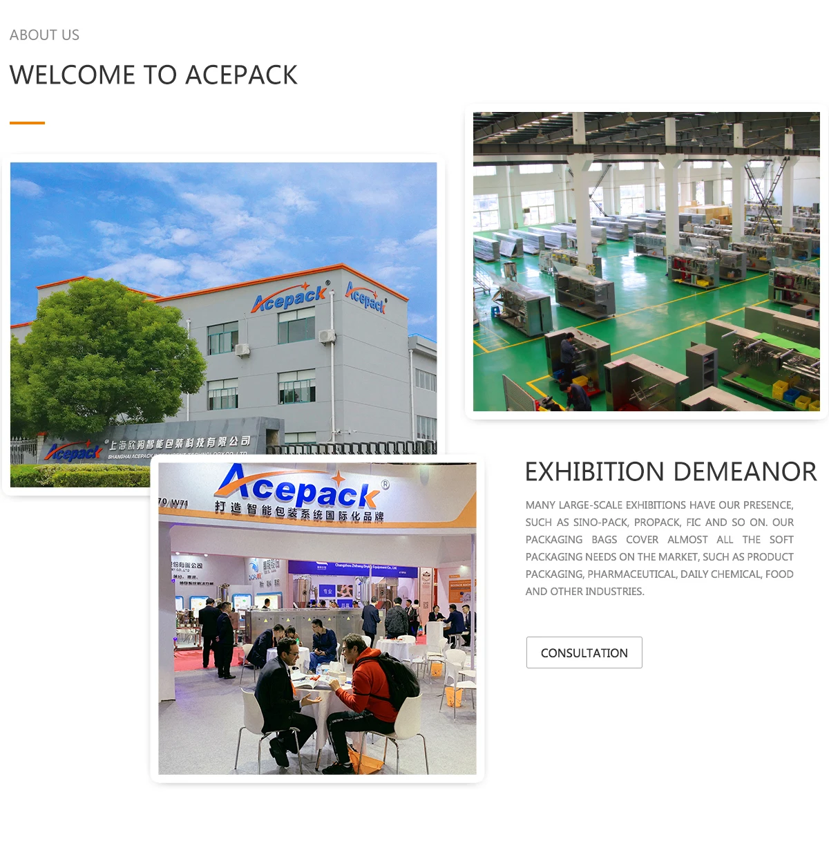 Shanghai Acepack Intelligent Technology Co., Ltd. - Packaging Machine