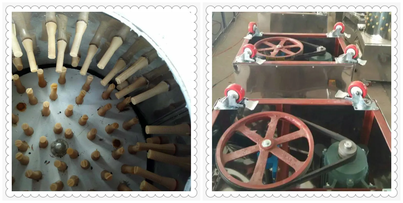 20ft Chicken Defeathering Machine For Poultry Plucking Feather Remove ...