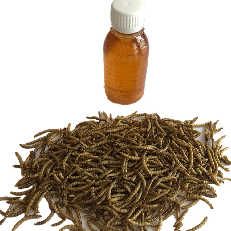 Insect Oil Mealworms Oil Fish Meal Oil - Buy Insect Oil Fish Meal,Meal ...