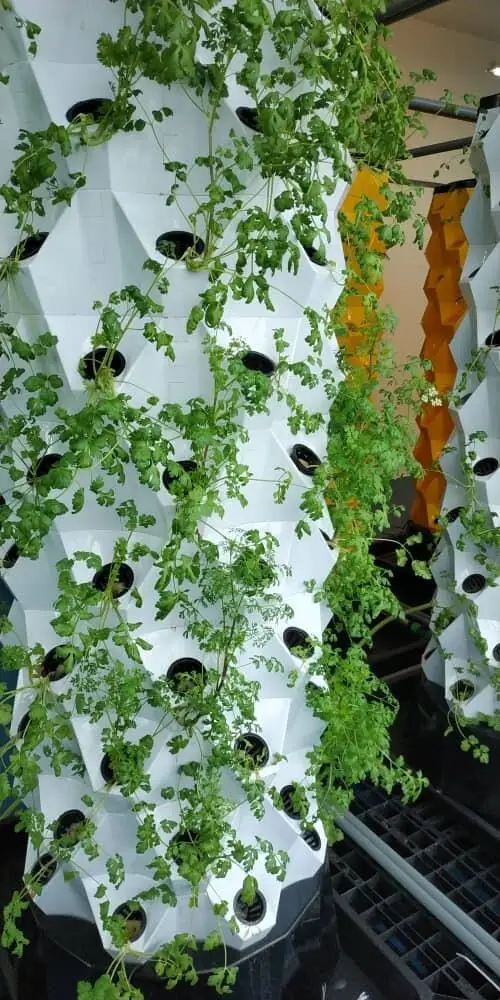 Freezer Shipping Container Farm Hydroponic Green Gr Efficient Growth ...