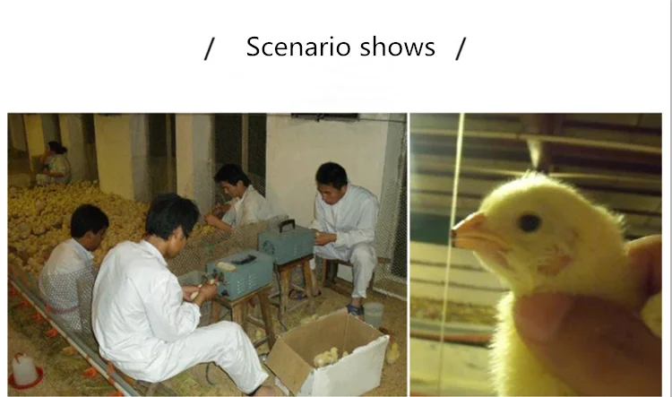 Chick Beak Cutting Electric Automatic Poultry Debeaker