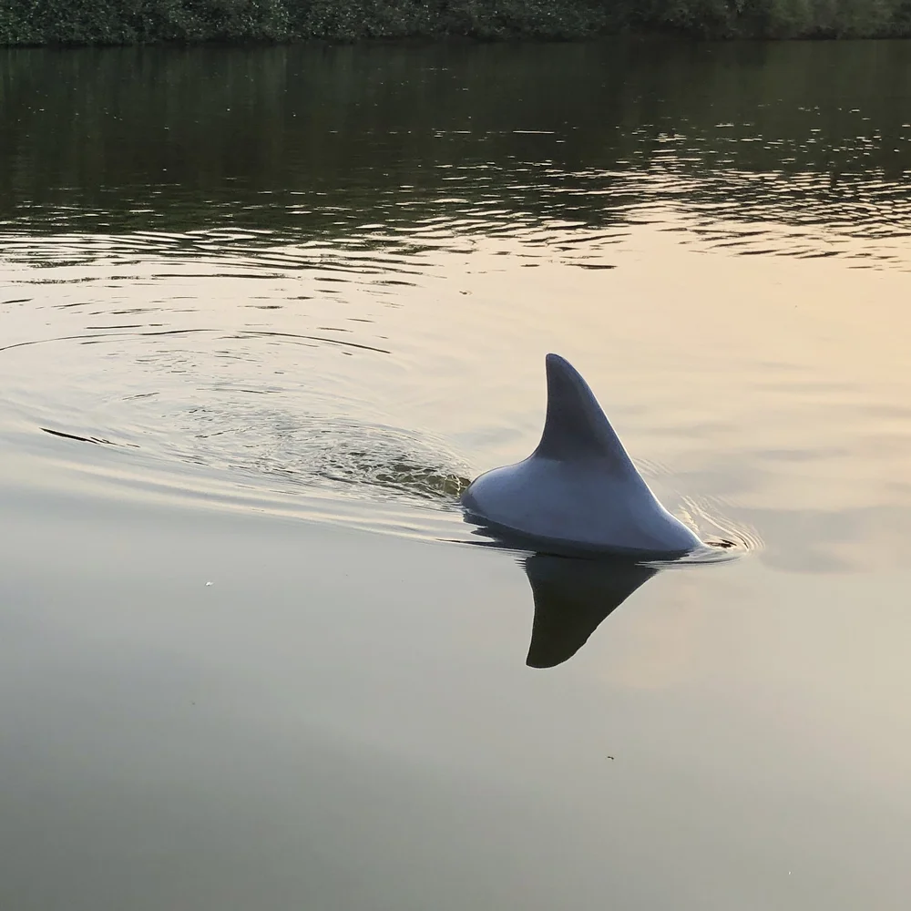 Flytec V302 Simulation Rc Shark Fin Boat Summer Toy For Scaring People ...