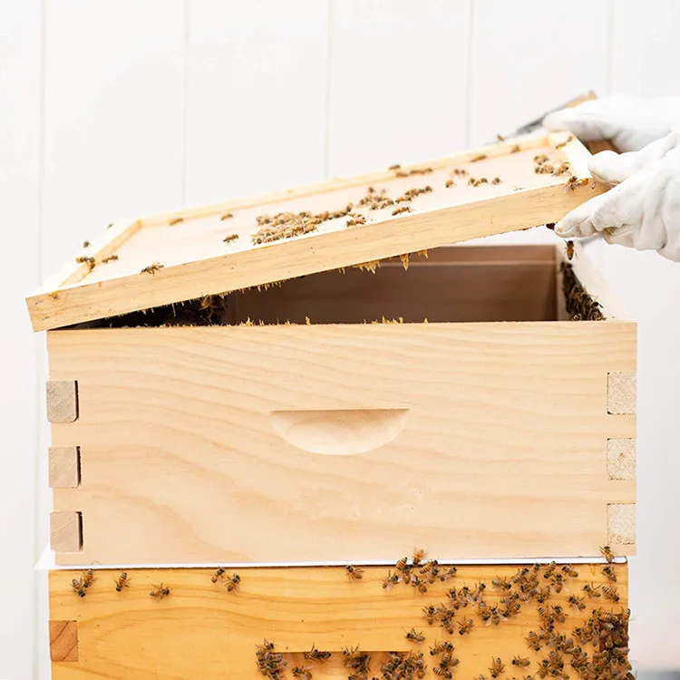 4 Layer Complete Langstroth Beehive Box 10 Frame Beeswax Coated Wooden ...