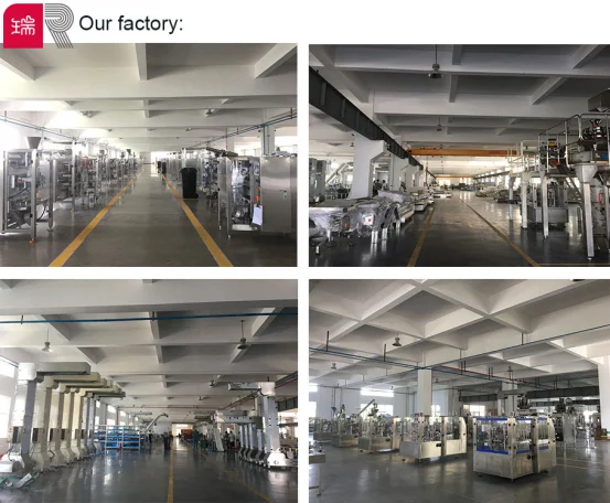 RL420 Shanghai Rui Packing Automatic Weighing VFFS Machine