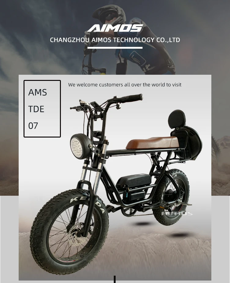 Aimos Double Seat 20 Inch 48v 1000w High Performance Electric Mountain Bike Fat Tire Usb Battery ...