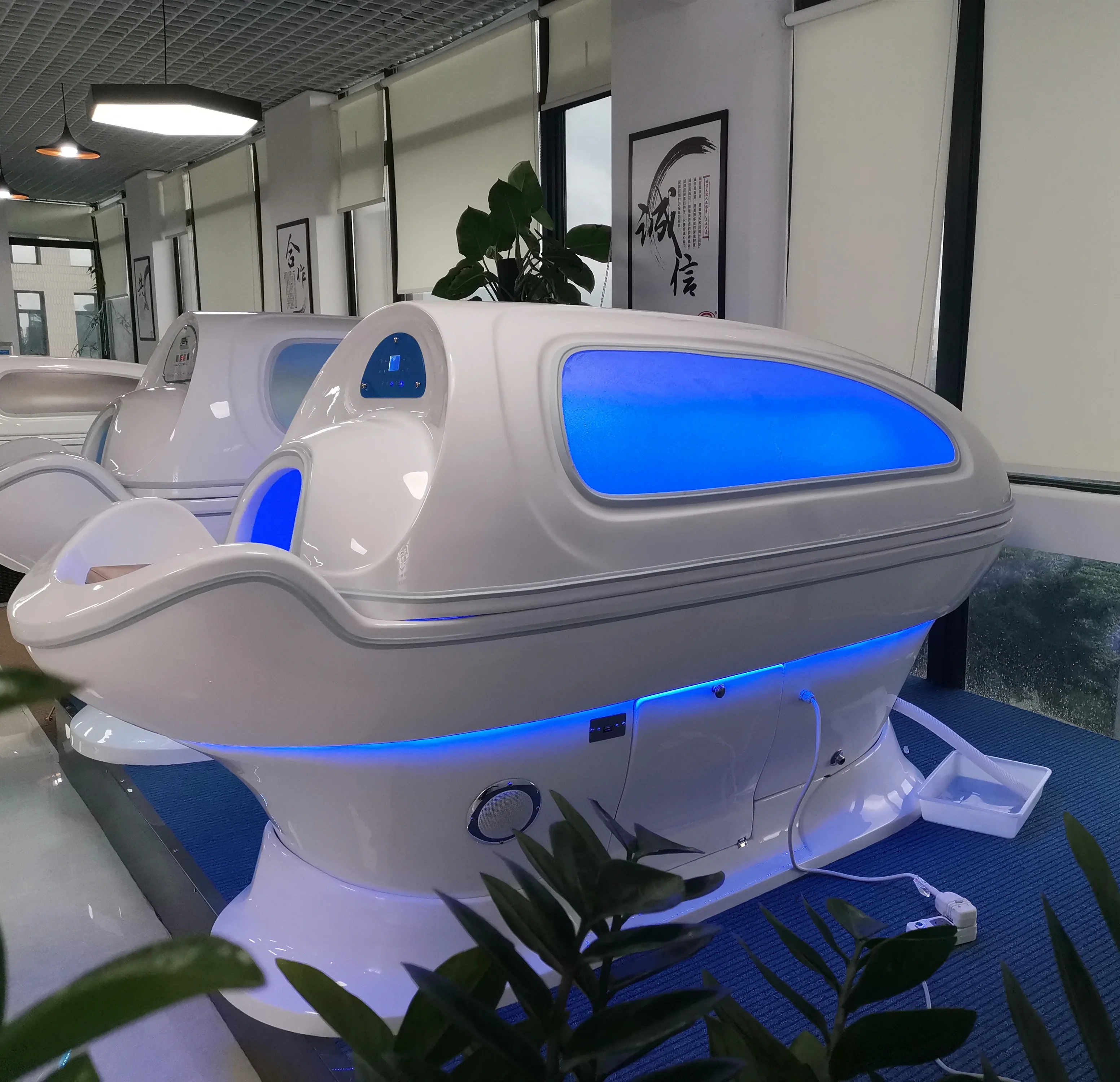 Chinese Herbal Steam Sauna Capsule Smokefree, Fumigated, Full Body ...