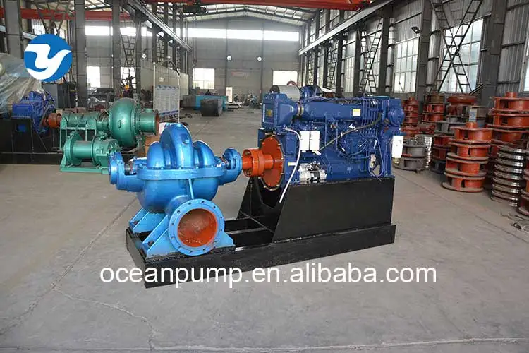 Wholesale Double Volute Suction Centrifugal Pump - Ocean