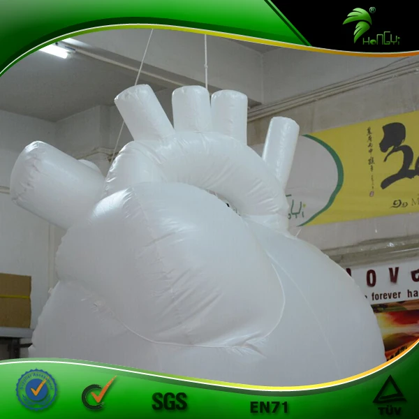 Anatomical Heart Balloon - Realistic 3D Inflatable Model