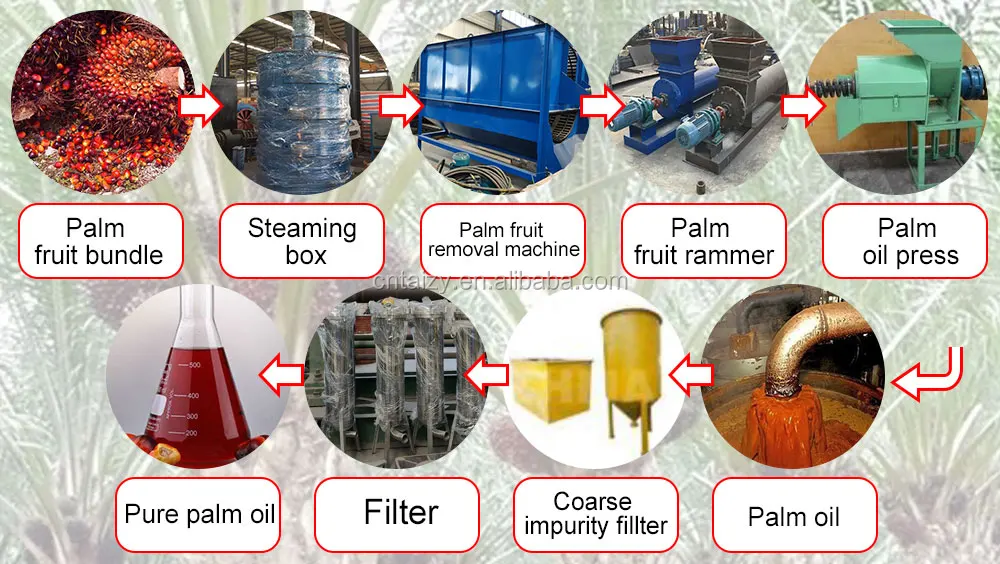 Red Palm Oil Pressing Machine - High Efficiency & Quality