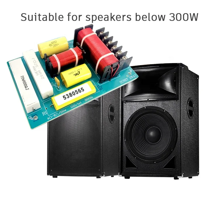 Pro Audio Crossover - 2 Way Speaker Splitter for 300W