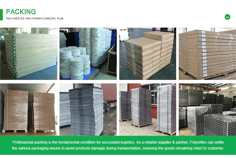 Clear Lamination PP Polypropylene Sheet 0.8mm - Durable