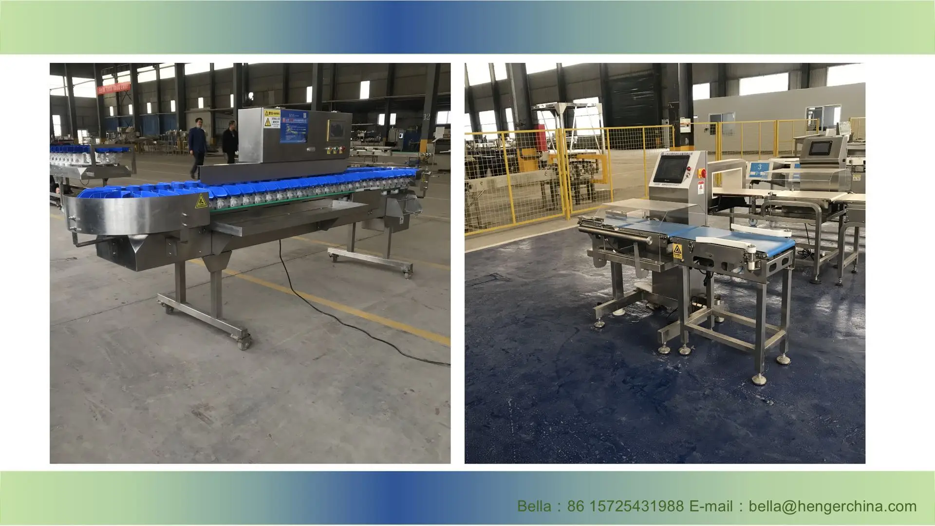 Combination Weight Automatic Chicken Wings Fish Weight Sorting Machine ...