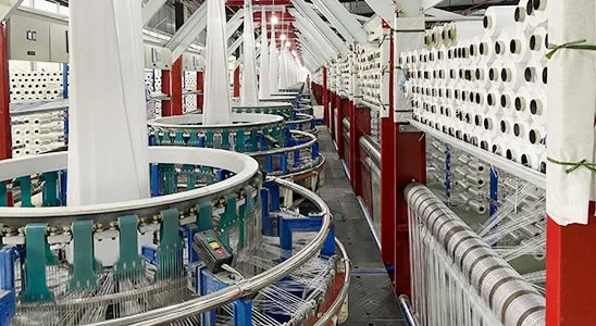 Company Overview - Guangxi Shunxing Packaging Co., Ltd.