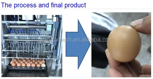 High Quality Chicken Embryo Machine Vaccine Inoculator