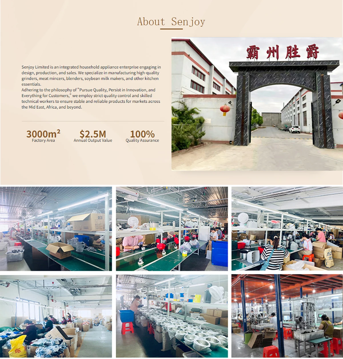 Company Overview - Senjoy Limited