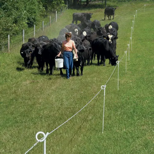 Stakes for Rope Fence - Durable Pigtail Fencing Posts