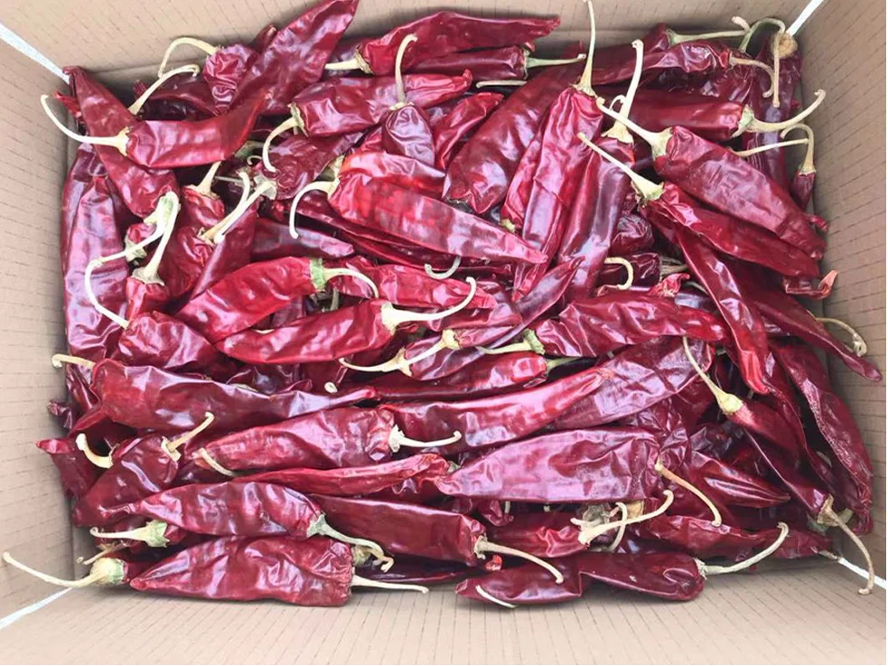 Chips Super Spicy Whole Dried Pods - 2 Oz Bag Of Hottest Chili Peppers ...