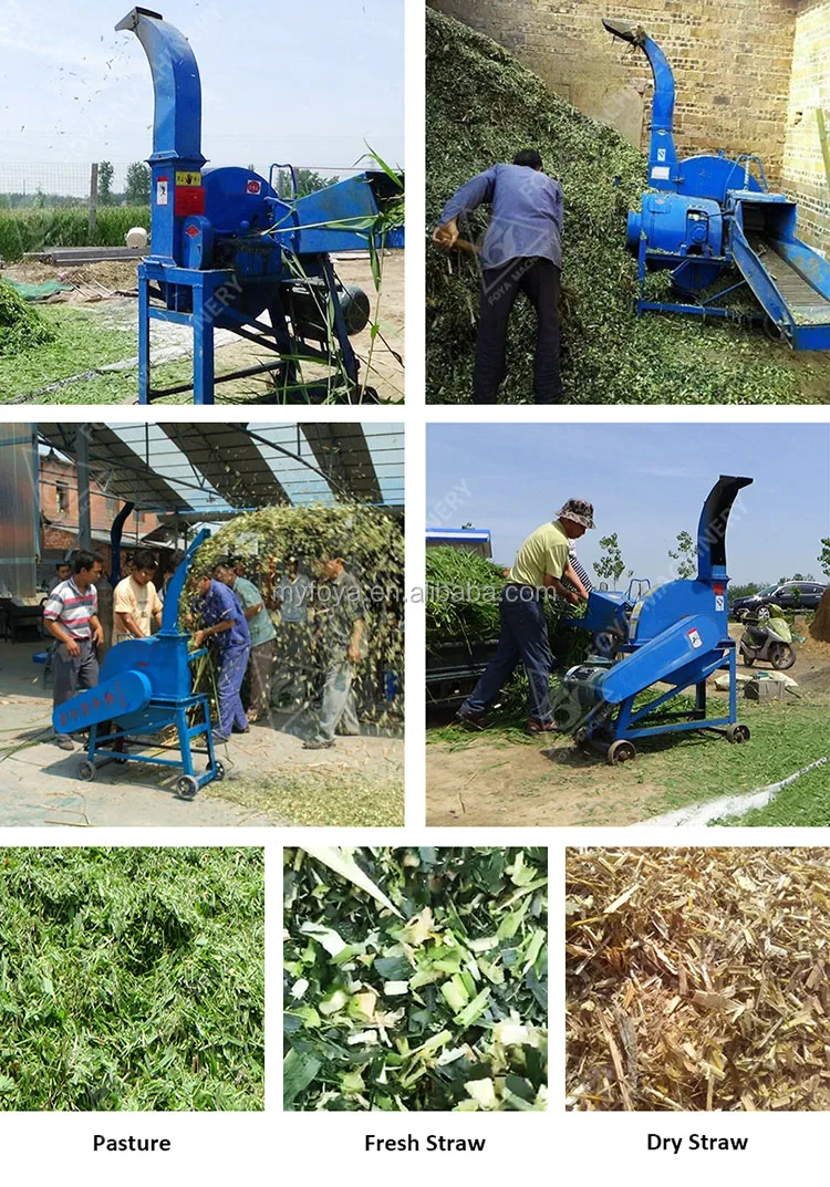 Small Green Fodder Chopper - Efficient Forage Grinder