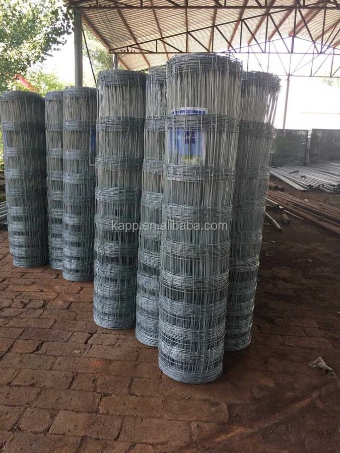 Extruded Plastic Mesh Net - Flexible and Durable Solutions