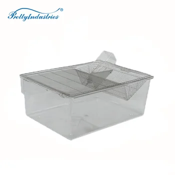 Cr3 Laboratory Polycarbonate Rodent Cage - Buy Rodent Laboratory Cage ...