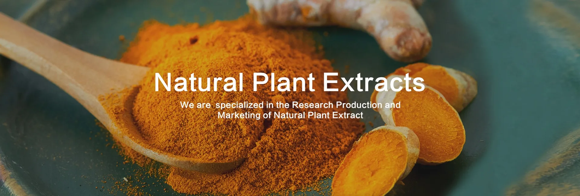Shaanxi Rainwood Biotech Co., Ltd. - Extract, Plant Extract/Cosmetic ...