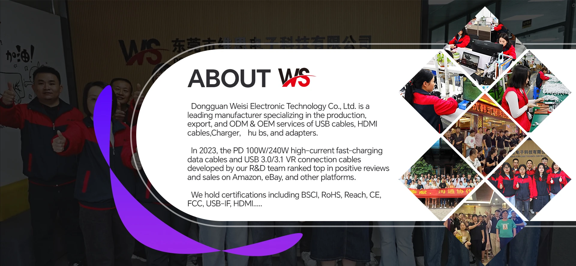 Company Overview - Dongguan Weisi Electronic Technology Co., Ltd.