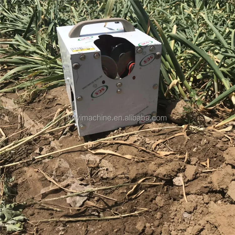 36v Small Onion Garlic Stem Root Cutter Machine Garlic Cut Root Machine