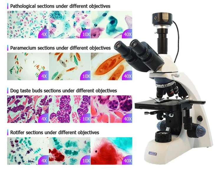 OPTO-EDU A59.4910-M05 - High Resolution CCD Camera for Microscope