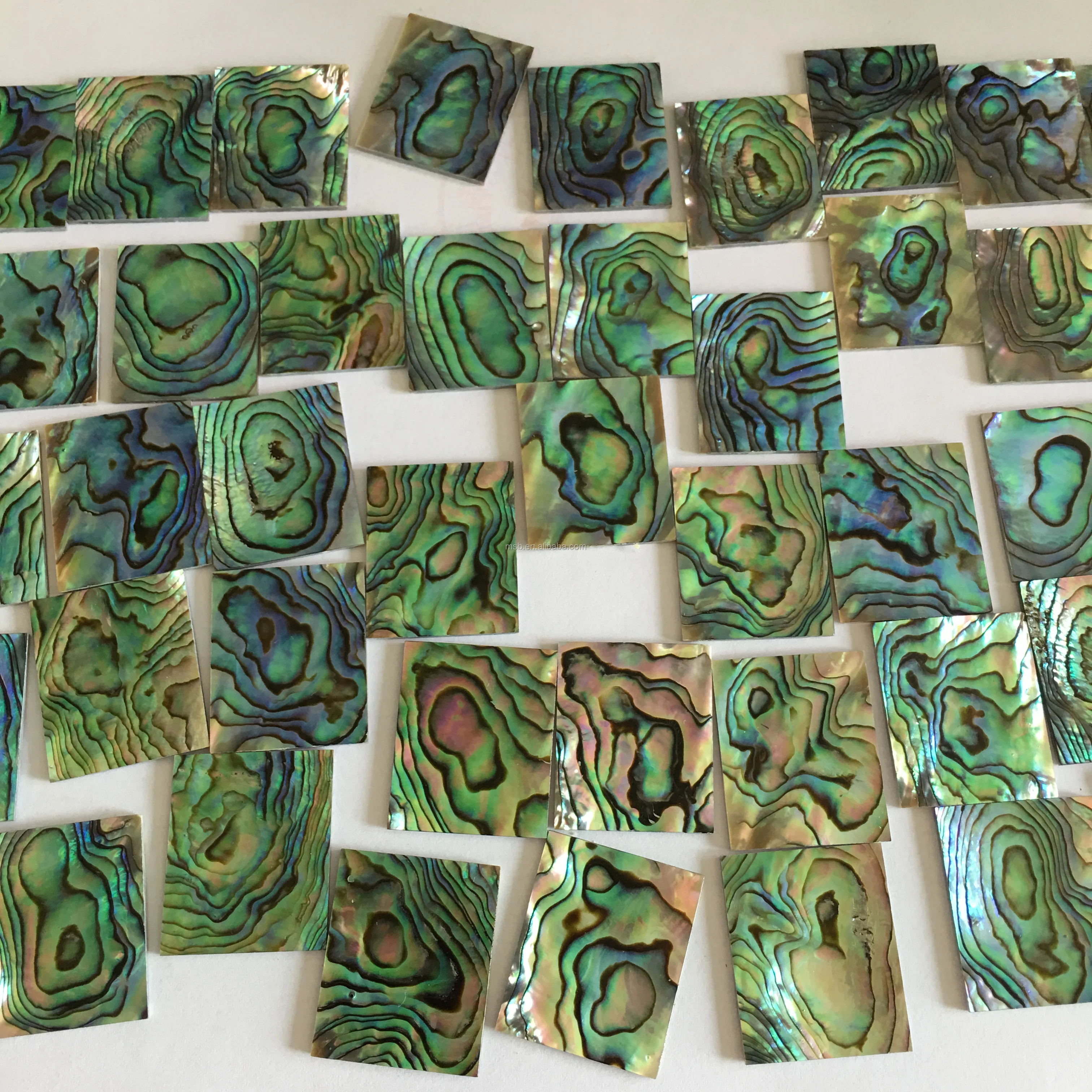 Square Cut Abalone Shell Chips - Natural Folk Art