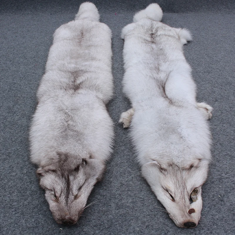 Best Quality Fur fox Skin Pelt Whole Animal Fur Skin Dyed fox Skin Fur ...