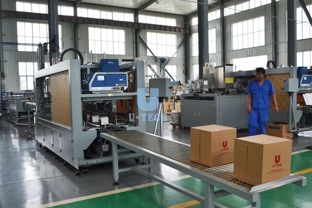 Auto Sink Wrap Around Hot Glue Carton Packing Machine Caser For Bottle ...