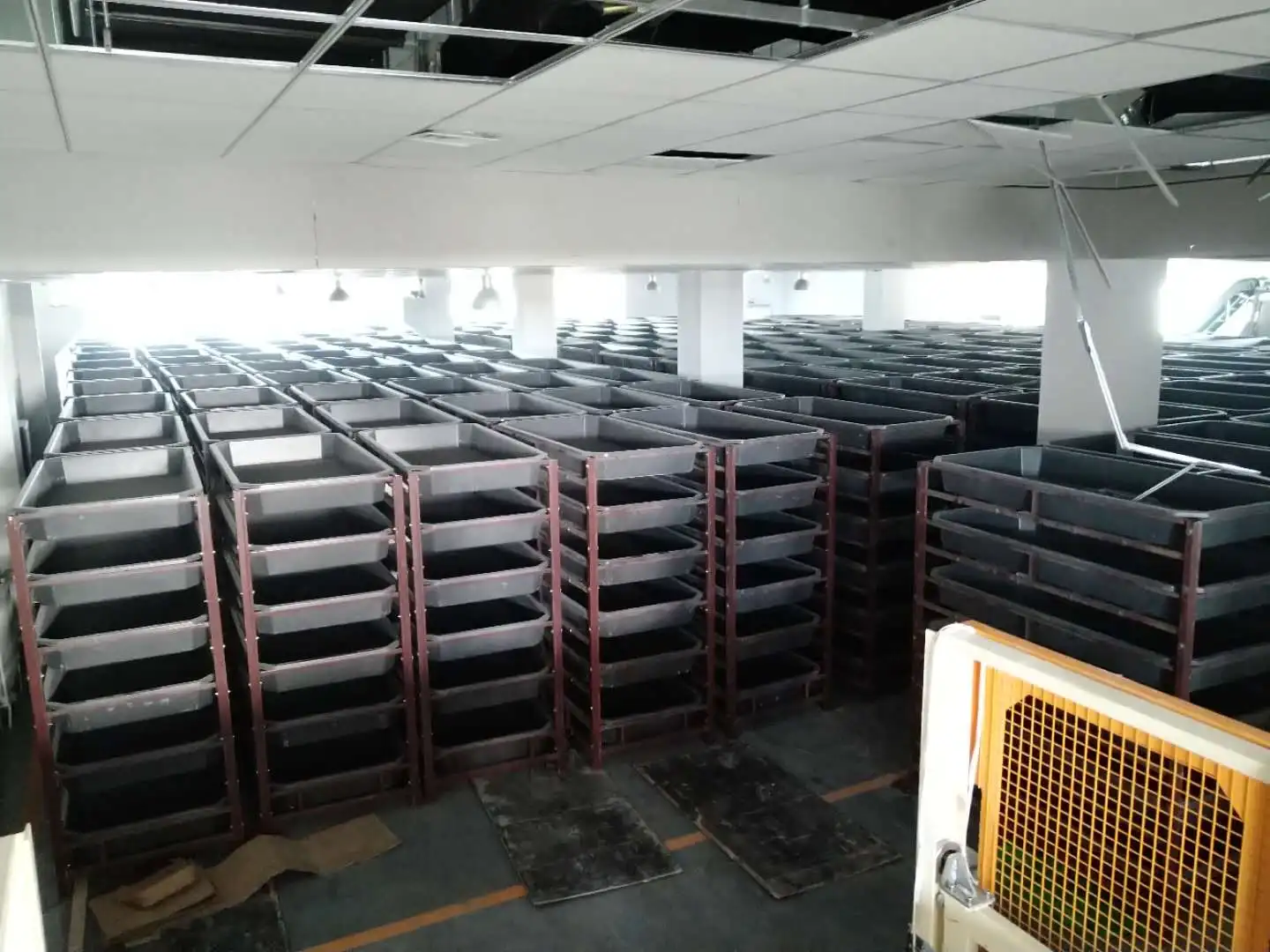 Insect Mealworm Black Soldier Fly Larvae Fiberglass Plastic Breeding ...