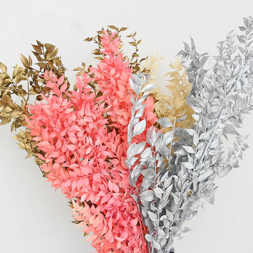 Wholesale Italian Dried Ruscus Leaves Natural Preserved Flowers for ...