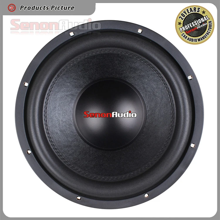 12 Inch Subwoofer - Dual Magnet, High Sensitivity Speaker
