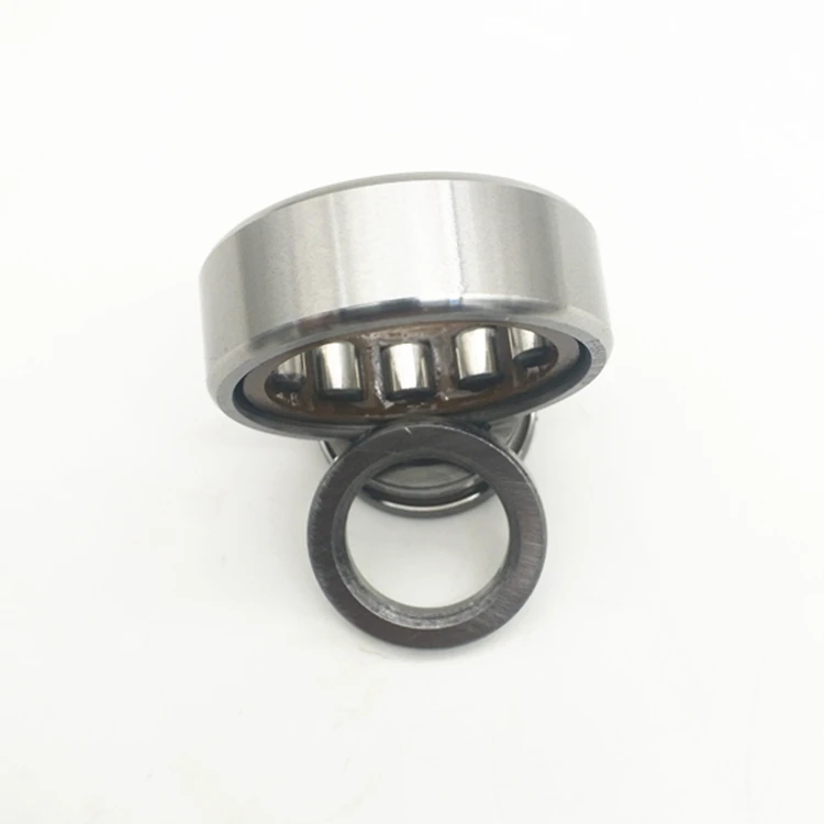 F-554185.01 Cylindrical Roller Bearing F-554185.01.nup F-554185 - Buy F ...