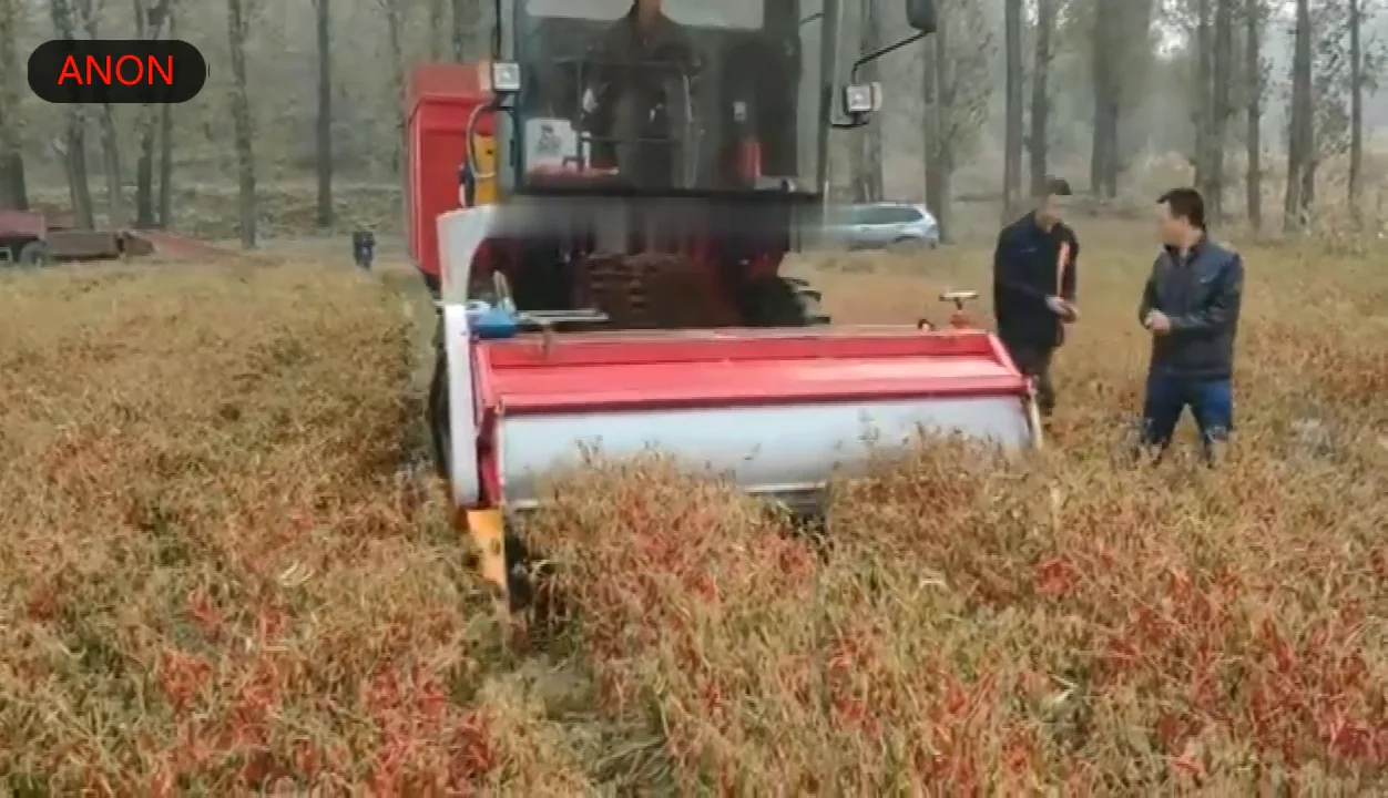 Anon Chilli Capsicum Paprika Cayenne Pepper Hot Pepper Picker Harvester ...