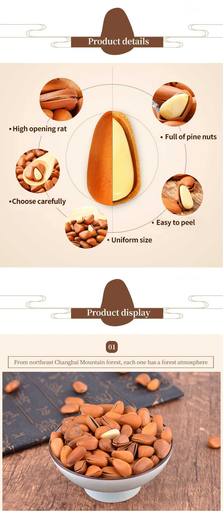 Pine Cedar Pakistan Nuts With Shell Wholesale - Buy Pine Cedar Nuts ...