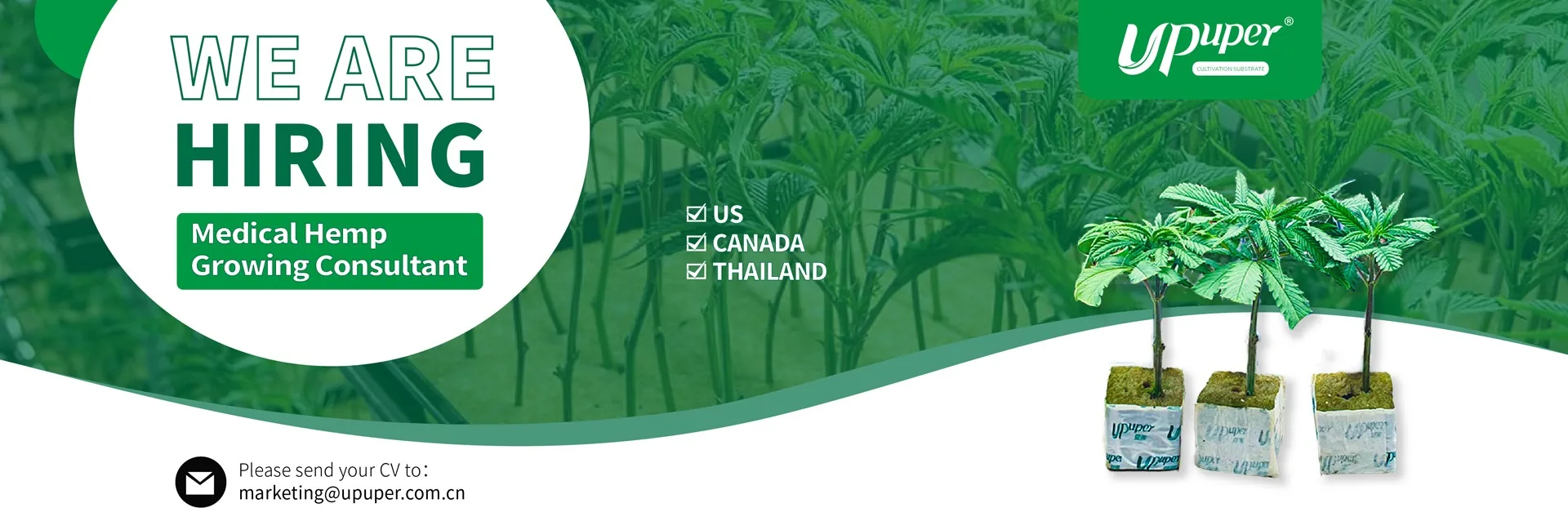 Shanghai Abm Rock Wool Dafeng Co., Ltd. - Rock Wool, Rock Wool/Rock ...